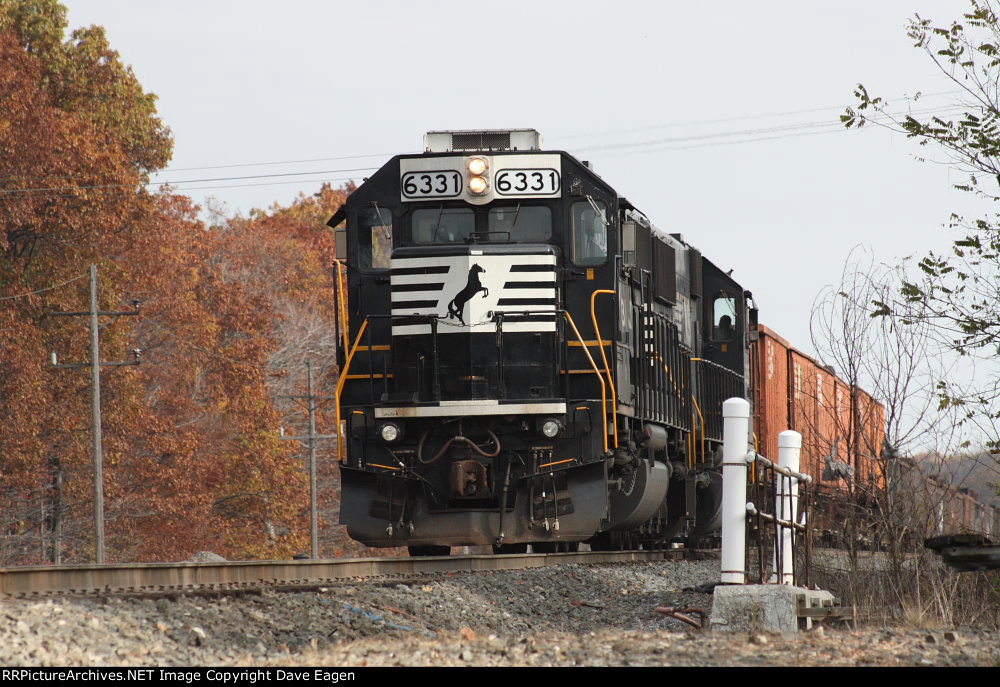 NS 6331